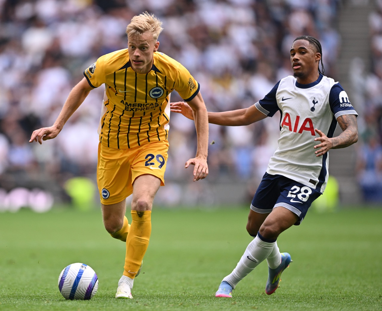 Tottenham agree deal for Brighton defender van Hecke - Hayters